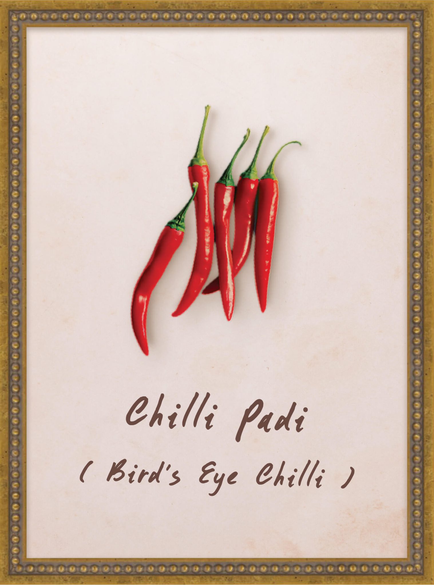 Chilli Padi (Bird’s Eye Chilli) – Violet Oon Singapore